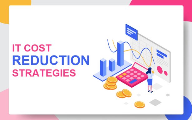 IT Cost Reduction Strategies