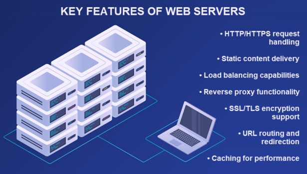 Web Server vs. Application Server: What Are the Differences?