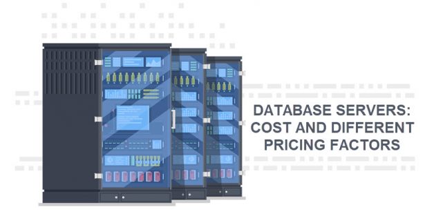 Database Server Price: What's the Cost of a Database Server?