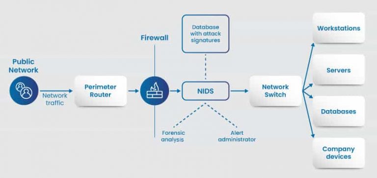 Intrusion Detection System (IDS): What It Is and Why It Matters