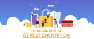 Data Encryption at Rest Explained | phoenixNAP Blog