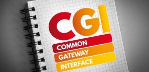 What Is Common Gateway Interface? | phoenixNAP IT Glossary