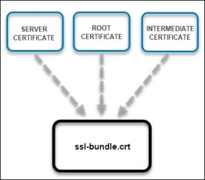How to Install SSL Certificate on NGINX