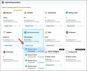 How to Access BMC Windows Server | Knowledge Base by phoenixNAP