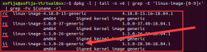 How to Remove Old Kernels on Ubuntu 18.04 / 16.04 {Safe Way}