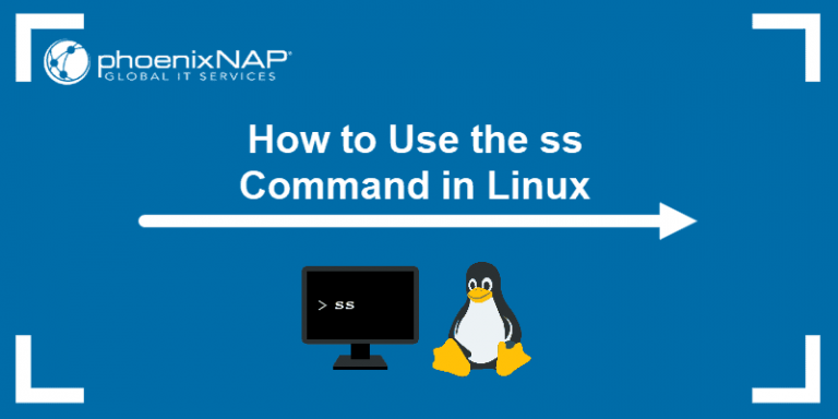 What is Linux Socket And How Linux Uses Sockets