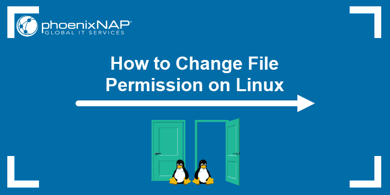 Linux File Permissions Tutorial How To View And Change Permission