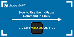 md5sum Linux Command {10 Examples} | phoenixNAP KB