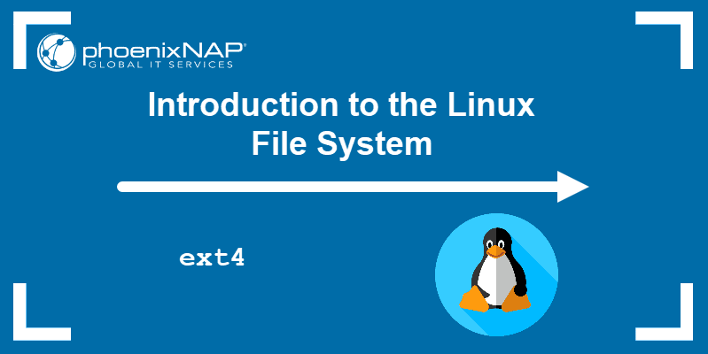 Introduction To The Linux File System