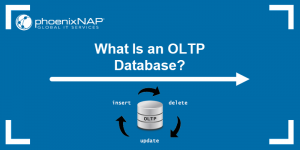 What Is an OLTP Database? {Concepts & Examples}