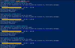 winget upgrade - How to Update Packages