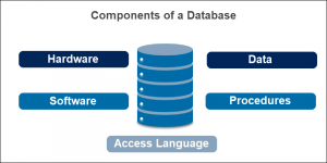 What Is a Database? - Everything You Need to Know | phoenixNAP KB
