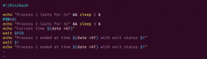 Bash wait Command with Examples