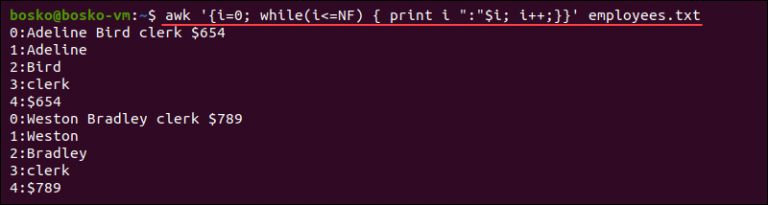 AWK Command in Linux with Examples {Statements, Patterns & Variables}
