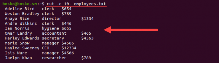Linux cut Command Explained with 6 Examples
