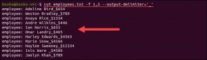 Linux cut Command Explained with 6 Examples