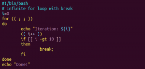 Bash Script for Loop Explained with Examples | phoenixNAP KB