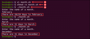 Bash case Statement Syntax and Examples