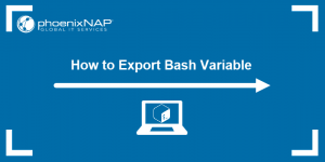 Bash Export Variable {With Examples}