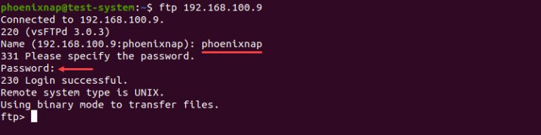 How to Use the Linux ftp Command | phoenixNAP KB