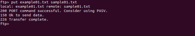 How to Use the Linux ftp Command | phoenixNAP KB