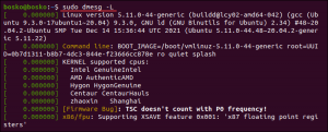 dmesg Linux Command {Syntax, Options and Examples}