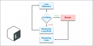 Bash break: How to Exit From a Loop