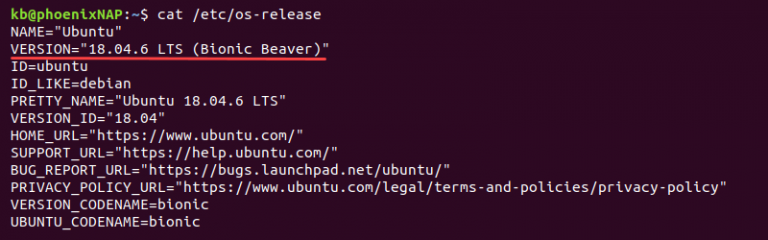 How to Check Your Ubuntu Version {8 Easy Options}