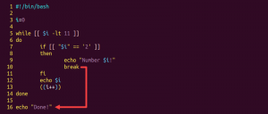 Bash break: How to Exit From a Loop
