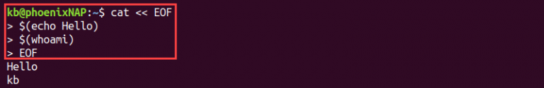Bash HereDoc Tutorial With Examples | phoenixNAP KB