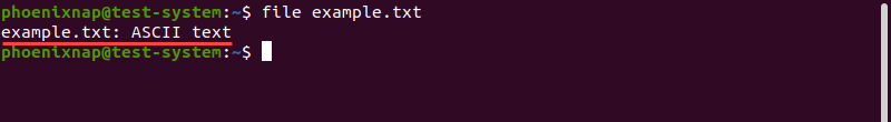 Linux File Command How To Determine File Type In Linux 10 Examples 