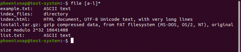 Linux File Command: How to Determine File Type in Linux {+10 Examples}