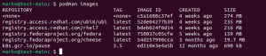 Podman Tutorial: How to Work with Images, Containers and Pods