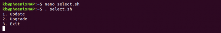 Linux Exec Command With Examples