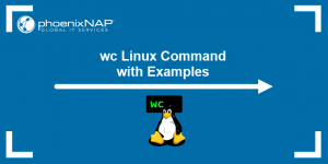 wc Linux Command with Examples | phoenixNAP KB