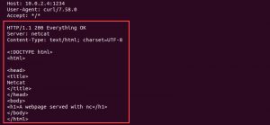 nc (Netcat) Command: Syntax, Command Options, & Examples
