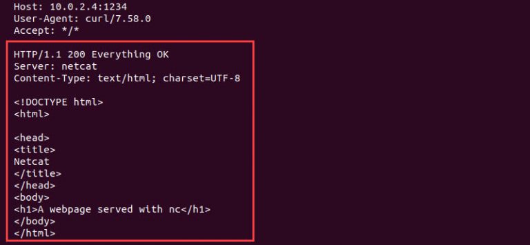 Nc Netcat Command Syntax Command Options And Examples