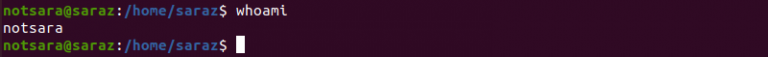 whoami Linux Command With Examples and Alternatives