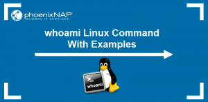 whoami Linux Command: Examples and Alternatives