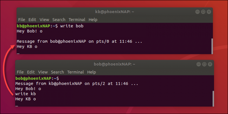 write Command in Linux {6 Examples + Syntax}