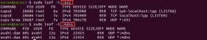 lsof Command in Linux {14 Practical Examples}