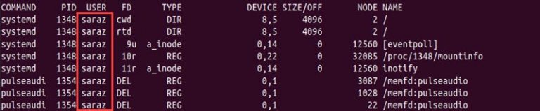 lsof Command in Linux {14 Practical Examples}