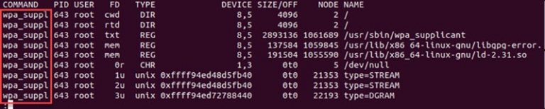 lsof Command in Linux {14 Practical Examples}