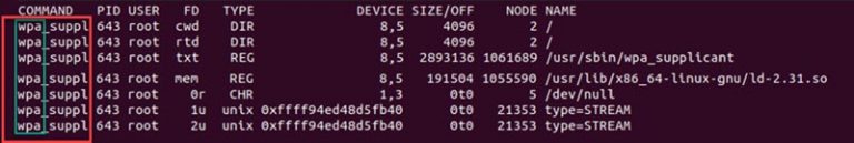 lsof Command in Linux {14 Practical Examples}
