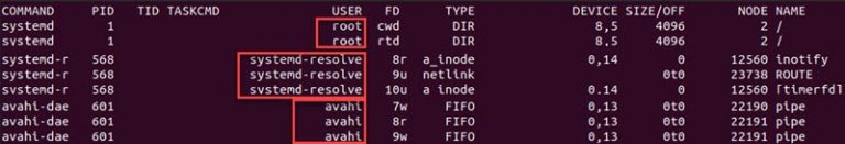 lsof Command in Linux {14 Practical Examples}