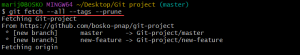 Git List Tags {Local or Remote Repository}