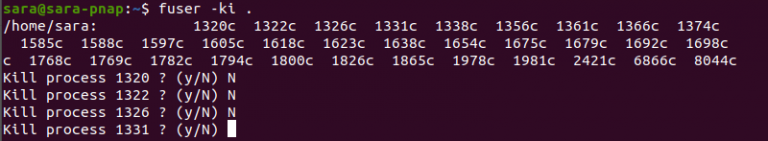fuser Linux Command With Examples | phoenixNAP KB