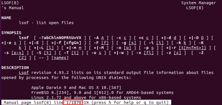 lsof Command in Linux {14 Practical Examples}
