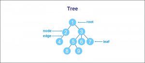 What Are Data Structures? {Classification & Types} | phoenixNAP KB