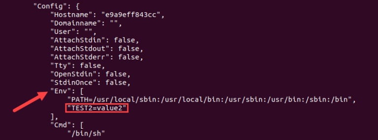 How To Set Docker Environment Variables {arg And Env}